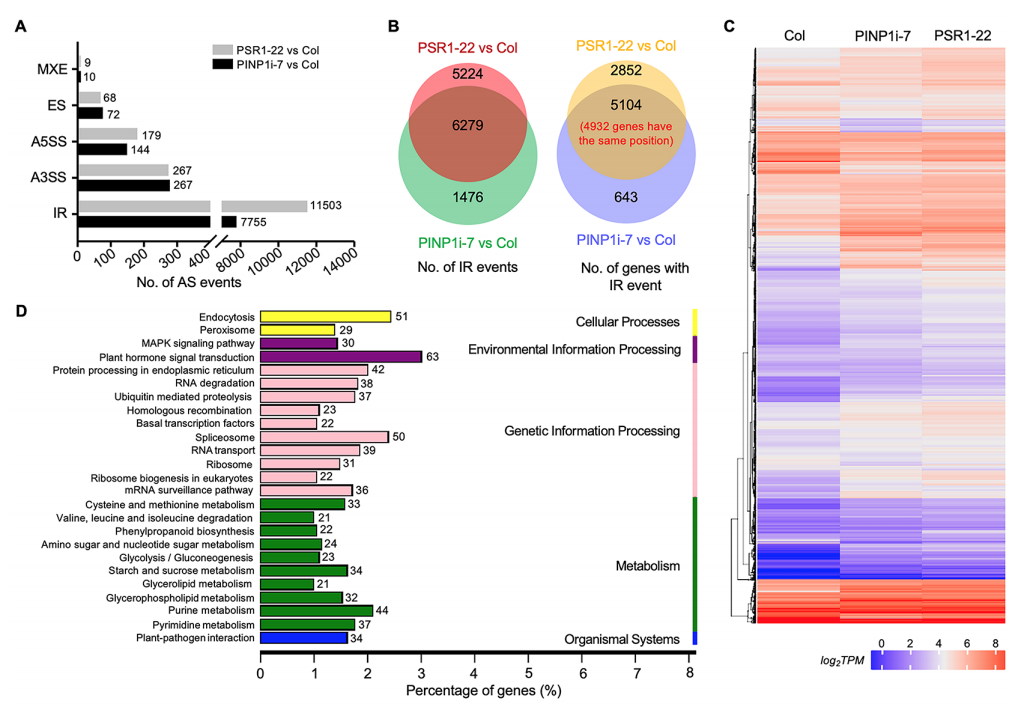 生命科学学院乔永利教授研究团队在The Plant Cell期刊上发表最新研究成果