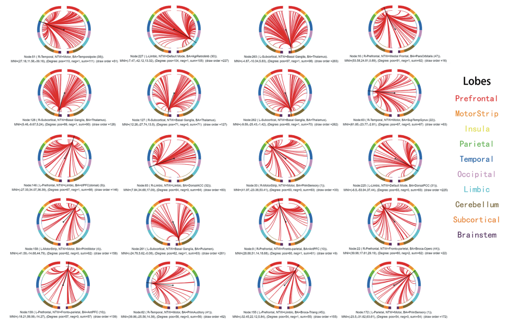 教育学院李海江副教授团队在Social Cognitive and Affective Neuroscience期刊上发表最新研究成果